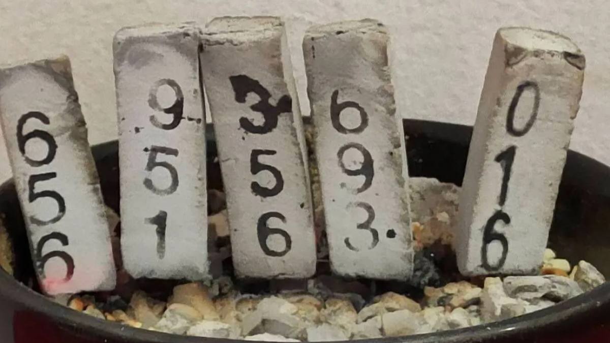 ธูปให้เลข วิธีทำ และวิธีใช้ ที่หลายคนยังไม่รู้