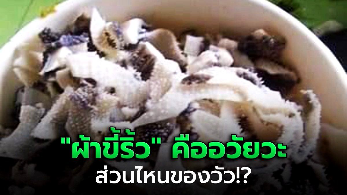 "ผ้าขี้ริ้ว" คืออวัยวะส่วนไหนของวัว!?