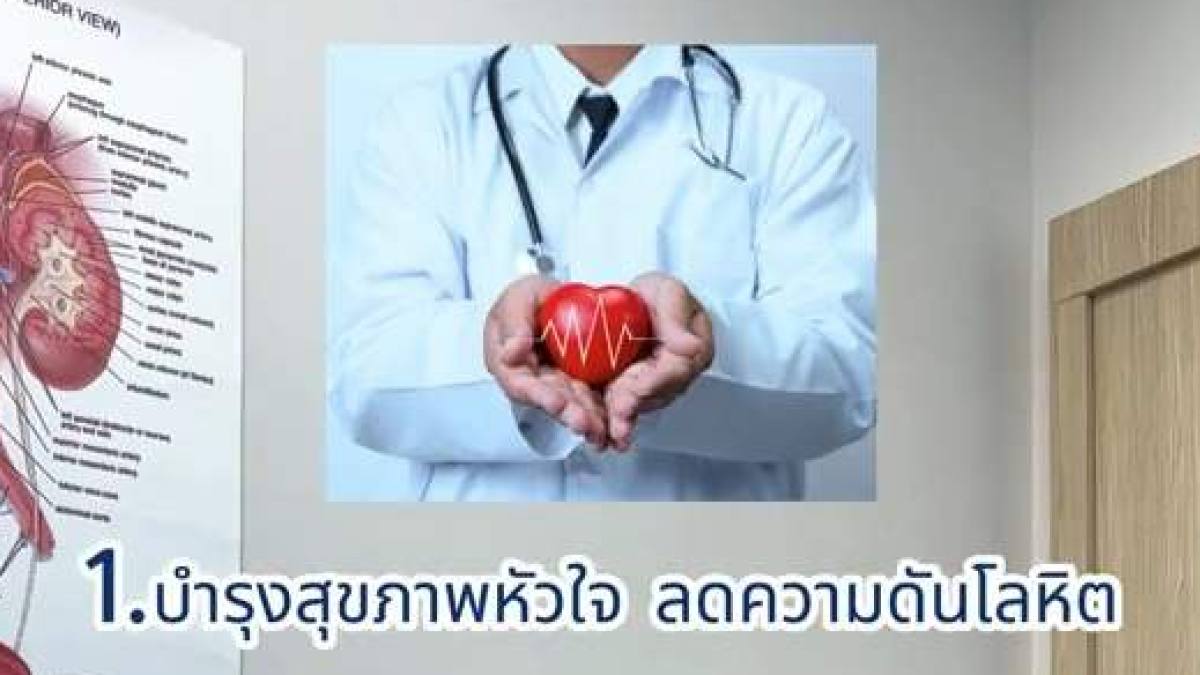 แค่มี Sex ทุกวัน ก็เป็นยาบำรุงร่างกายแล้ว