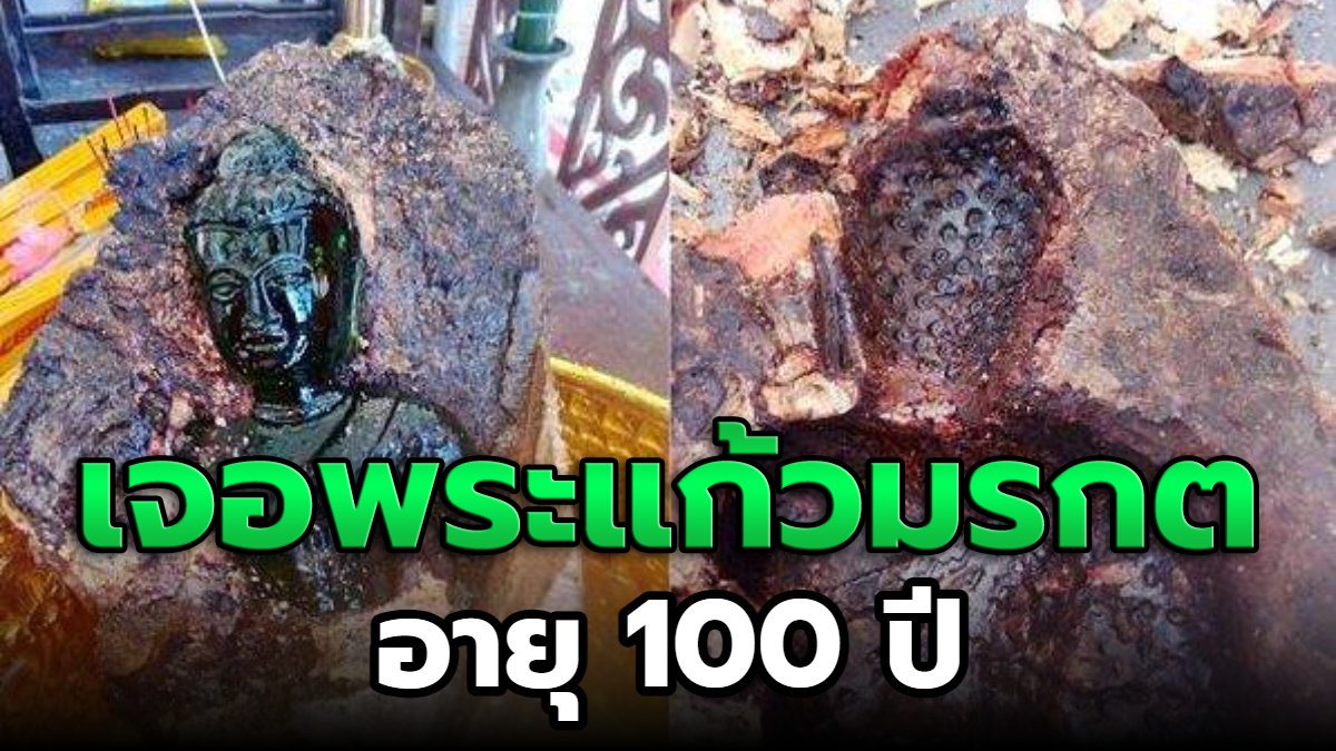 ฮือฮา พระตัดต้นมะม่วงใหญ่ เจอพระแก้วมรกต ฝังในต้น อายุ100ปี