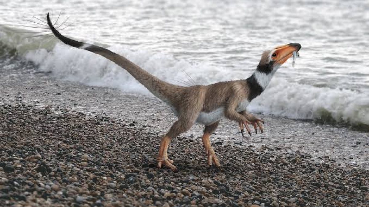 นักวิทย์พบ Pendraig Milnerae ทีเร็กซ์ตัวเท่าไก่ ต้นกำเนิดไดโนเสาร์กิน ...