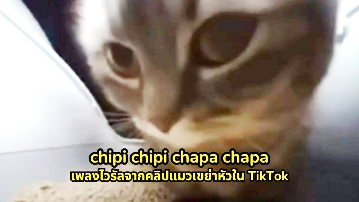 เปิดที่มาไวรัลเพลงดัง chipi chipi chapa chapa