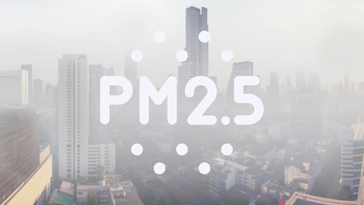 เจ้าฝุ่น PM2.5 มันร้ายจัด