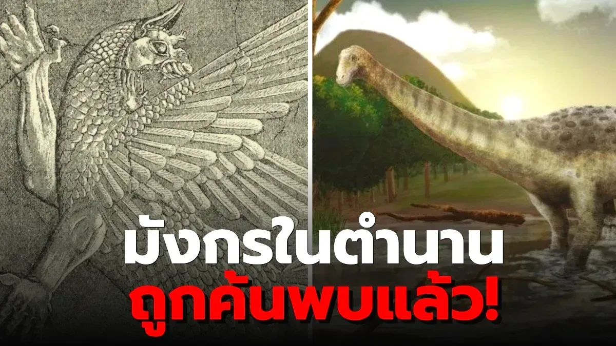 Special Paleo News: เทียแมต มังกรในตำนานถูกค้นพบแล้ว!