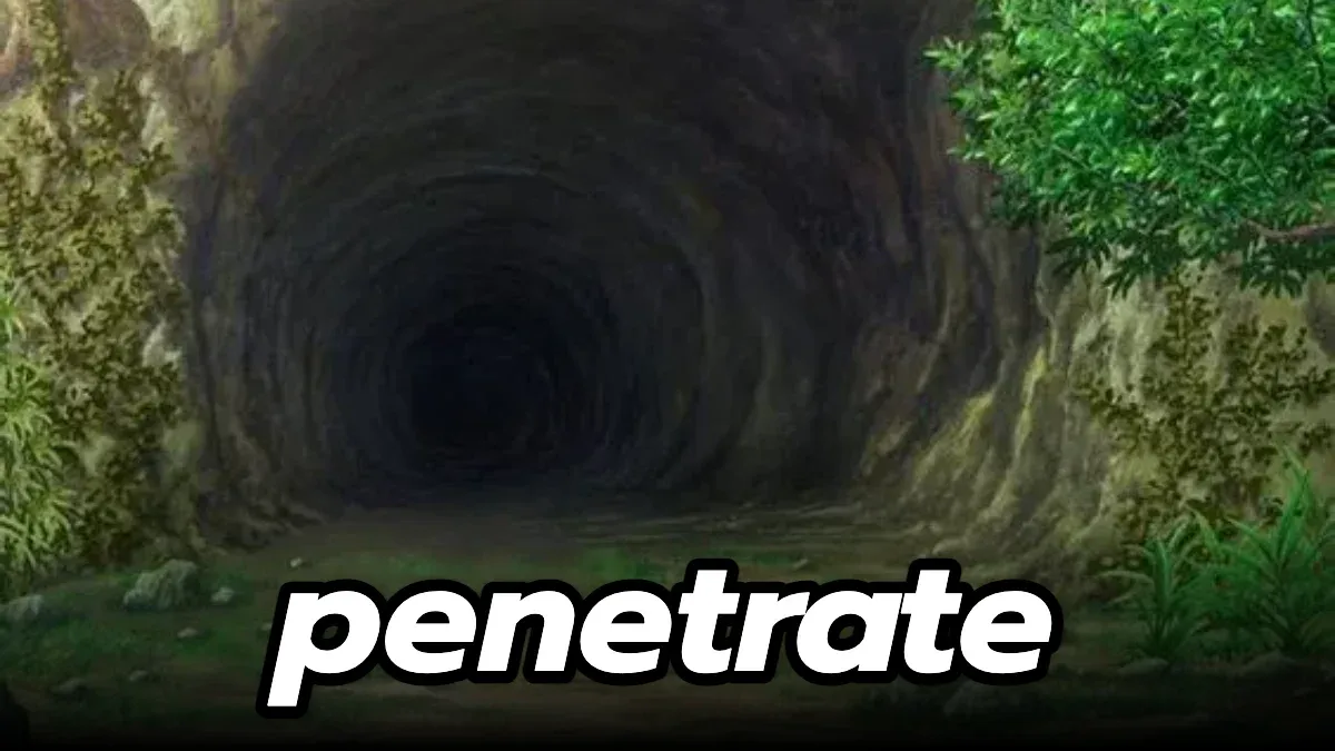 penetrate: ลอดผ่าน ทะลุเข้าไป