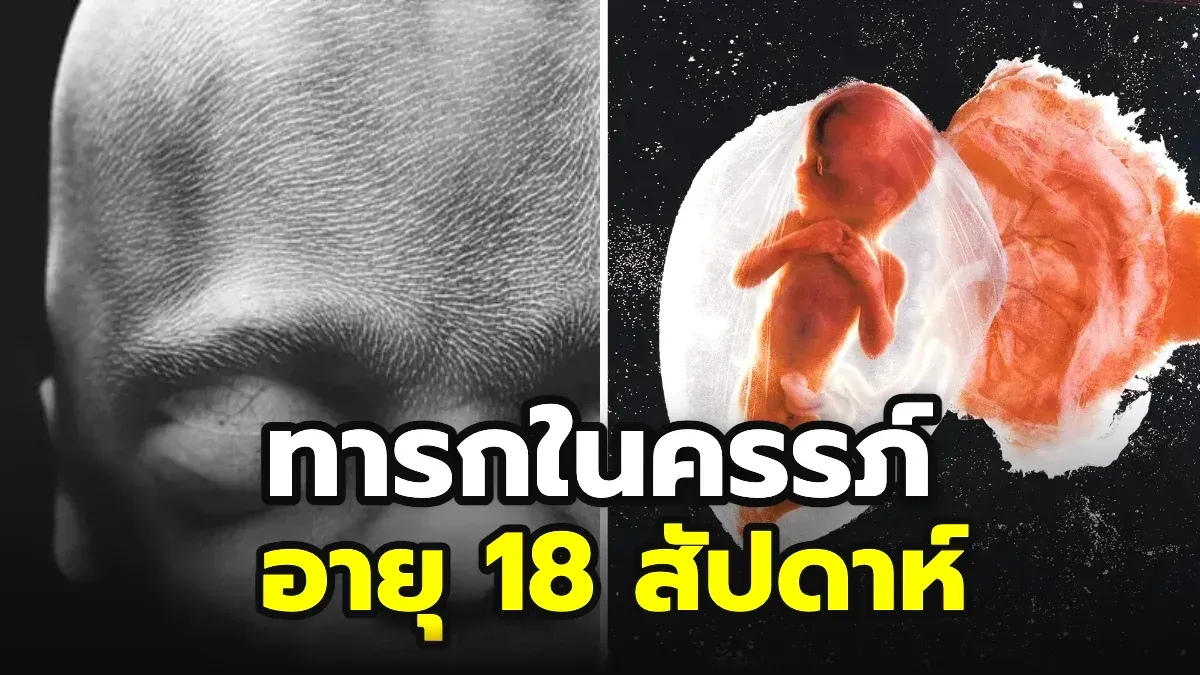 ภาพถ่ายประวัติศาสตร์ "Foetus 18 Weeks" ภาพทารกในครรภ์ที่มีอายุ 18 สัปดาห์