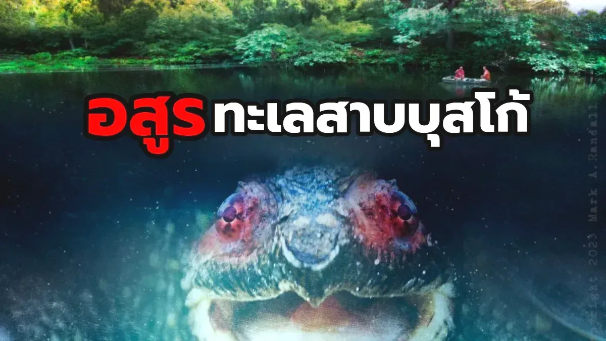 อสูรทะเลสาบบุสโก้: เต่ายักษ์ ฟอสซิลมีชีวิตที่ยังมีลมหายใจ