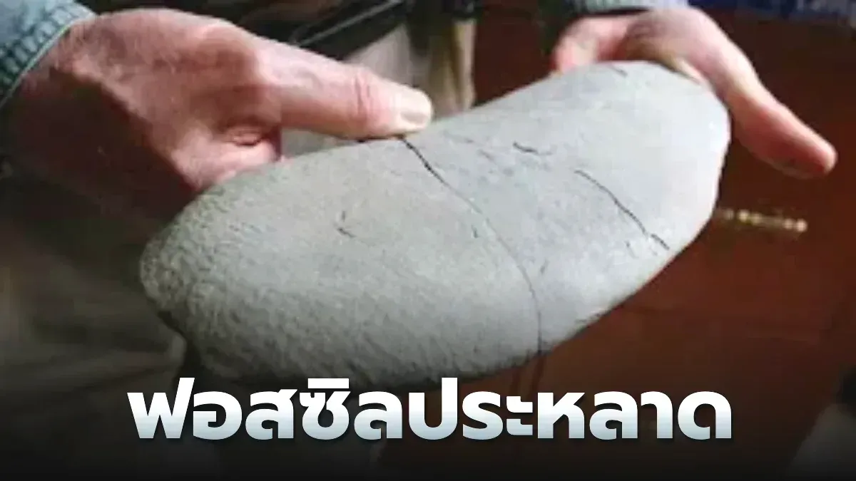 Godzillus ฟอสซิลประหลาด นี่มัน…ตัวอะไรหว่า?