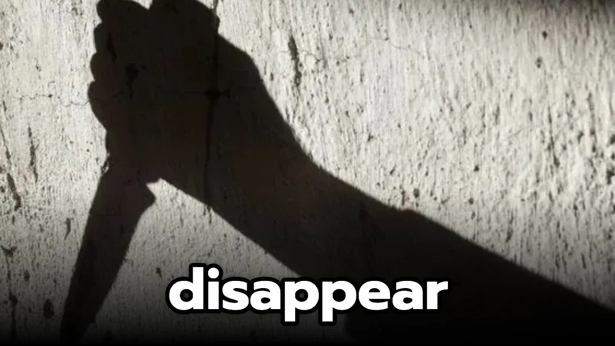 disappear: หายตัว หายไป