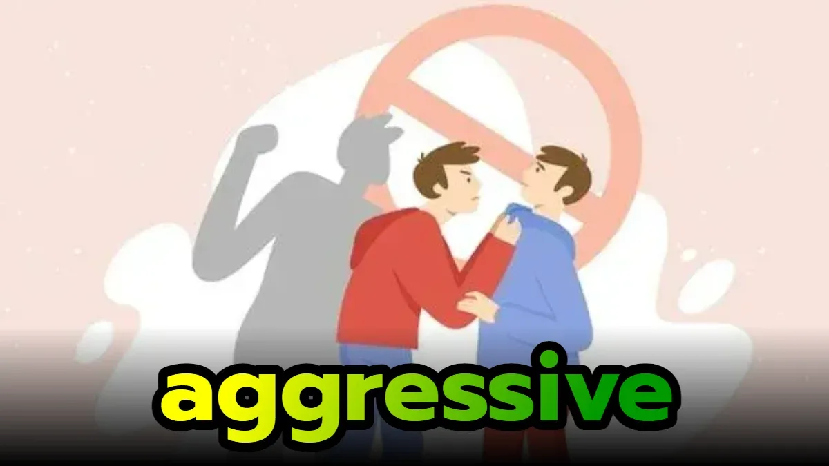 aggressive: ก้าวร้าว