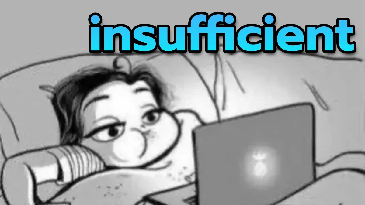 insufficient: ไม่เพียงพอ