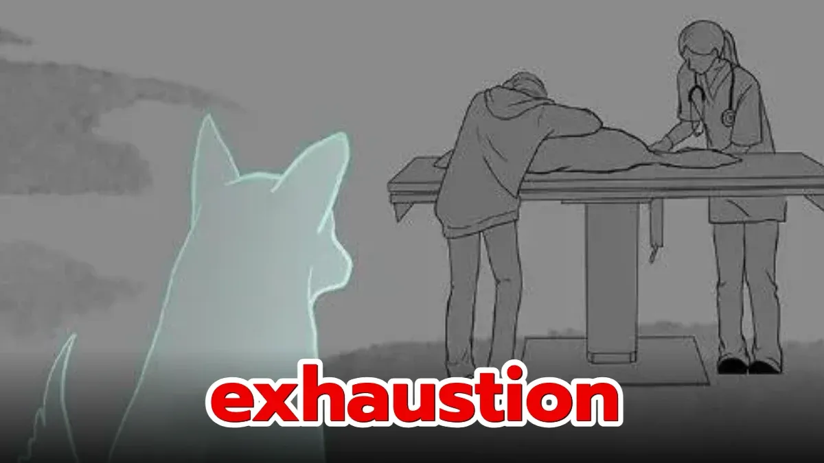 exhaustion: ความเหนื่อยล้า
