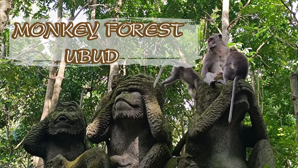 เมื่อฉันไปบาหลี EP.4 Monkey forest Ubud