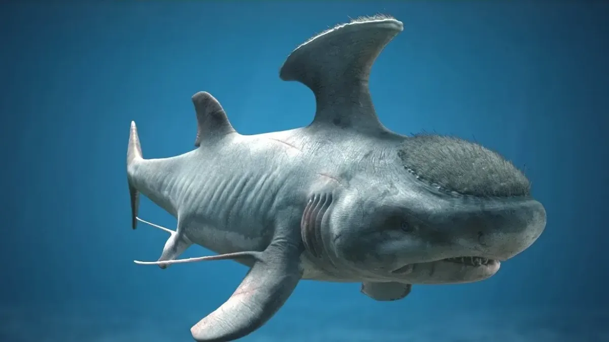 สเตธาแคนทัส (Stethacanthus shark) ฉลามโบราณที่มีรูปร่างหน้าตาเป็น ...