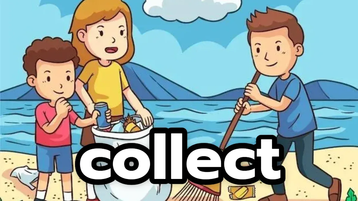 collect: เก็บ