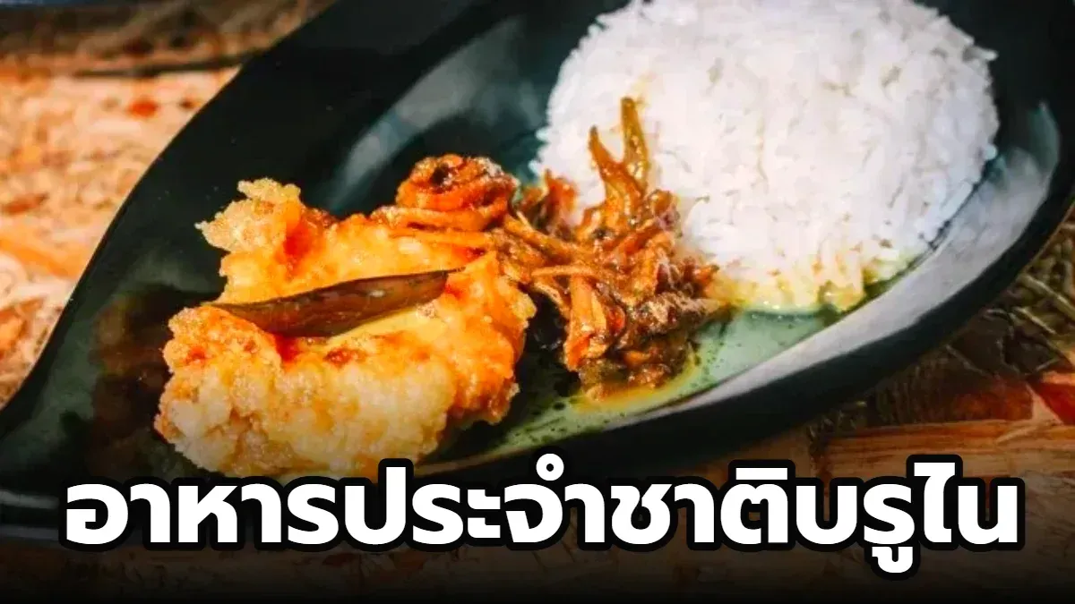 nasi-katok