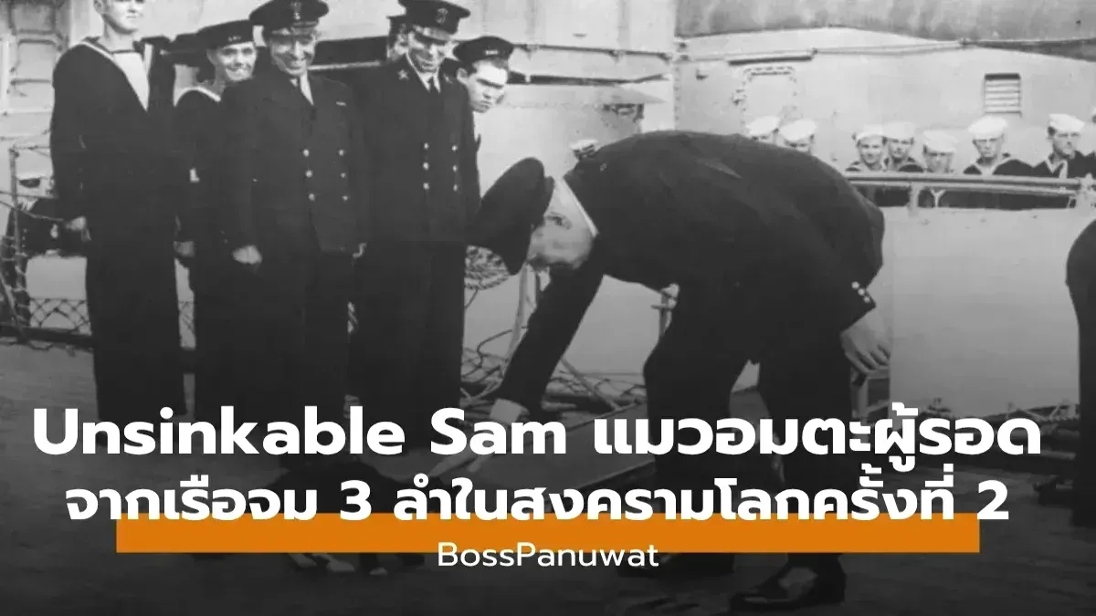 Unsinkable Sam แมวอมตะผู้รอดจากเรือจม 3 ลำในสงครามโลกครั้งที่ 2