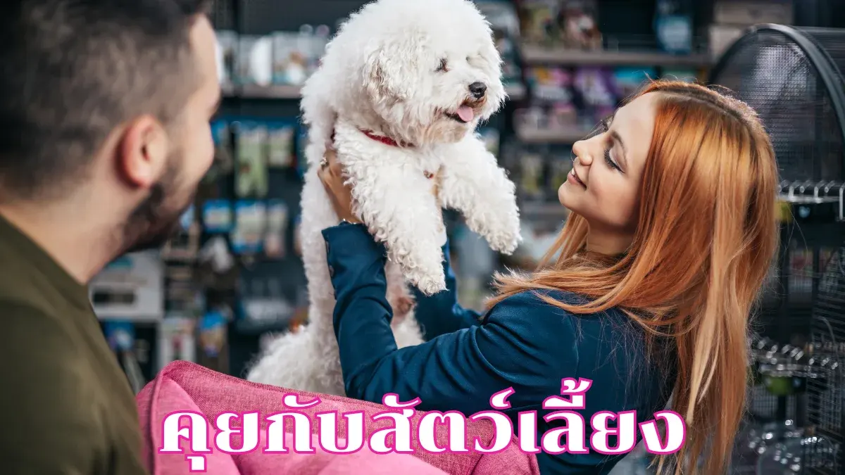 คนที่คุยกับสัตว์เลี้ยงเป็นคนฉลาด