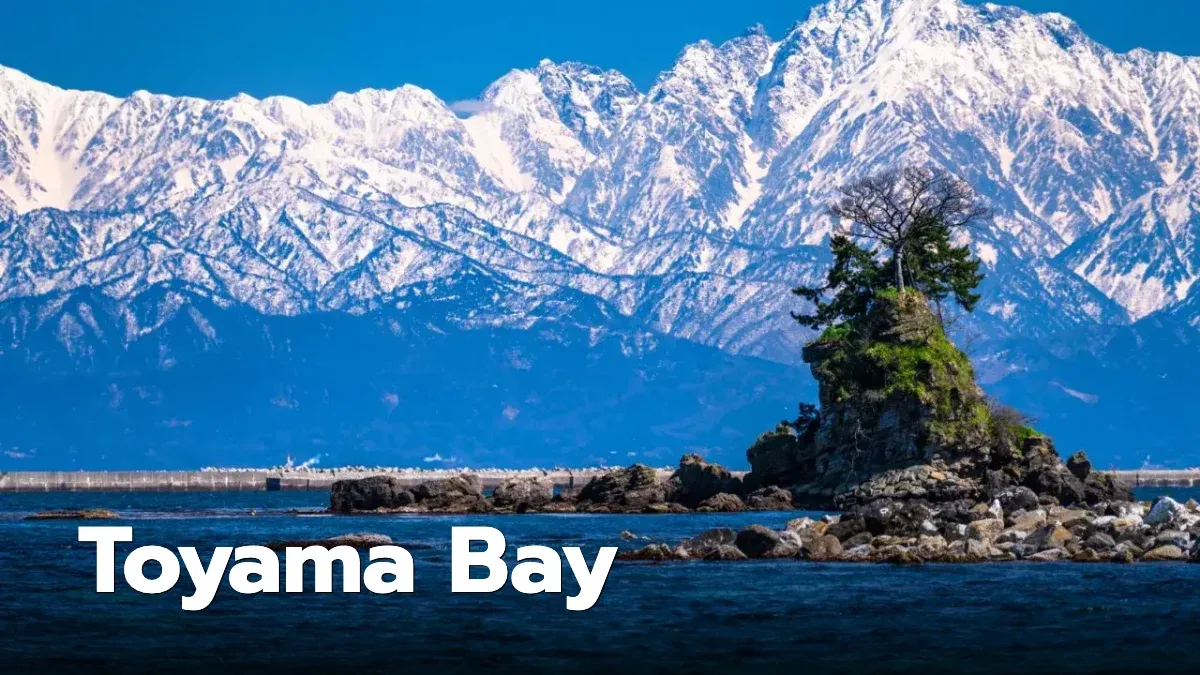 "อ่าวโทยามะ" (Toyama Bay) หนึ่งในความมหัศจรรย์ทางธรรมชาติที่น่าทึ่ง ...