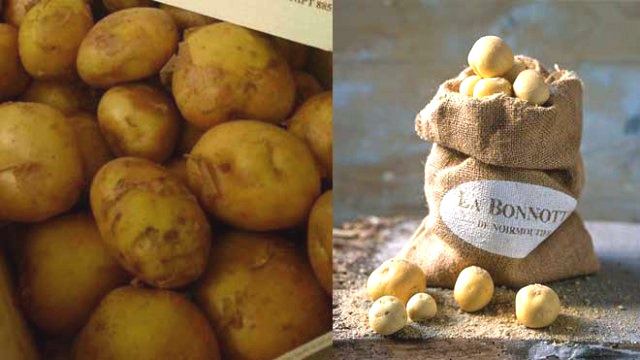 ไม่กล้ากิน! LA BONNOTTE มันฝรั่งที่ราคาแพงที่สุดในโลก 25,000 บาท/กก.