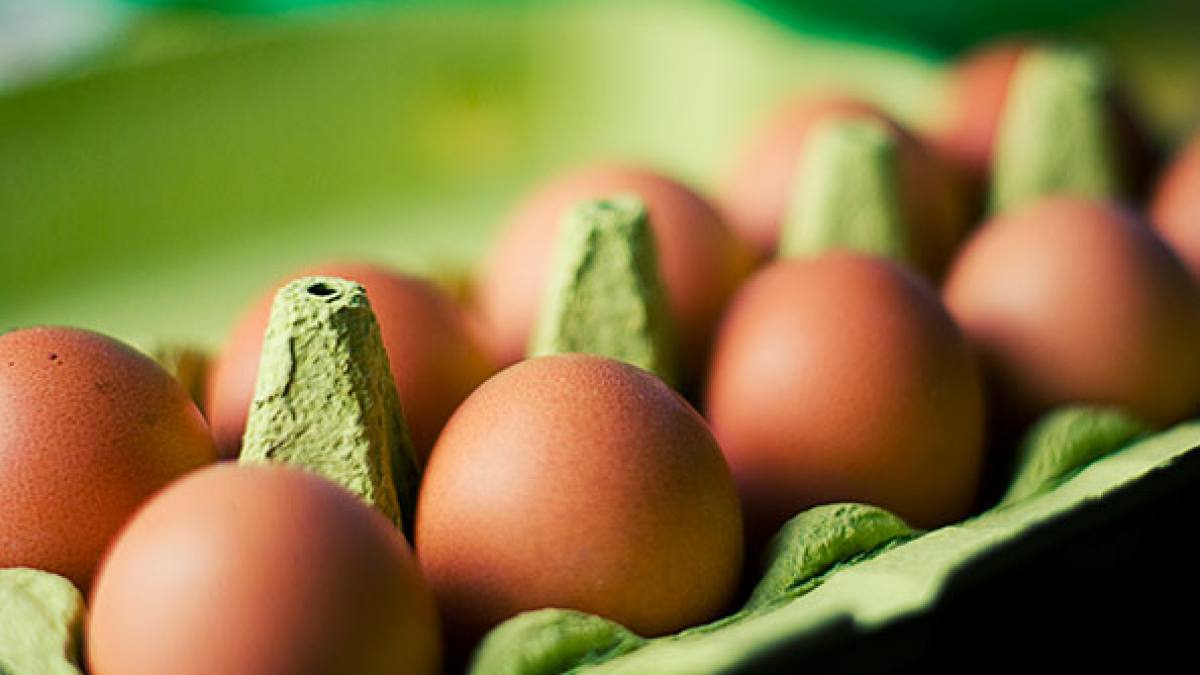 Dozen คืออะไรและใช้อย่างไร