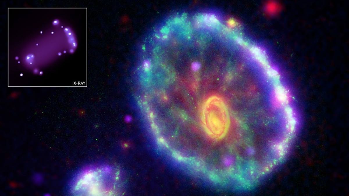 "แนวปะการังแห่งห้วงจักรวาล" (Cosmic reef) ภาพใหม่ล่าสุดจาก ...