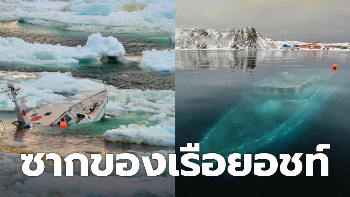 ซากของเรือยอชท์“ Mar Sem Fim”