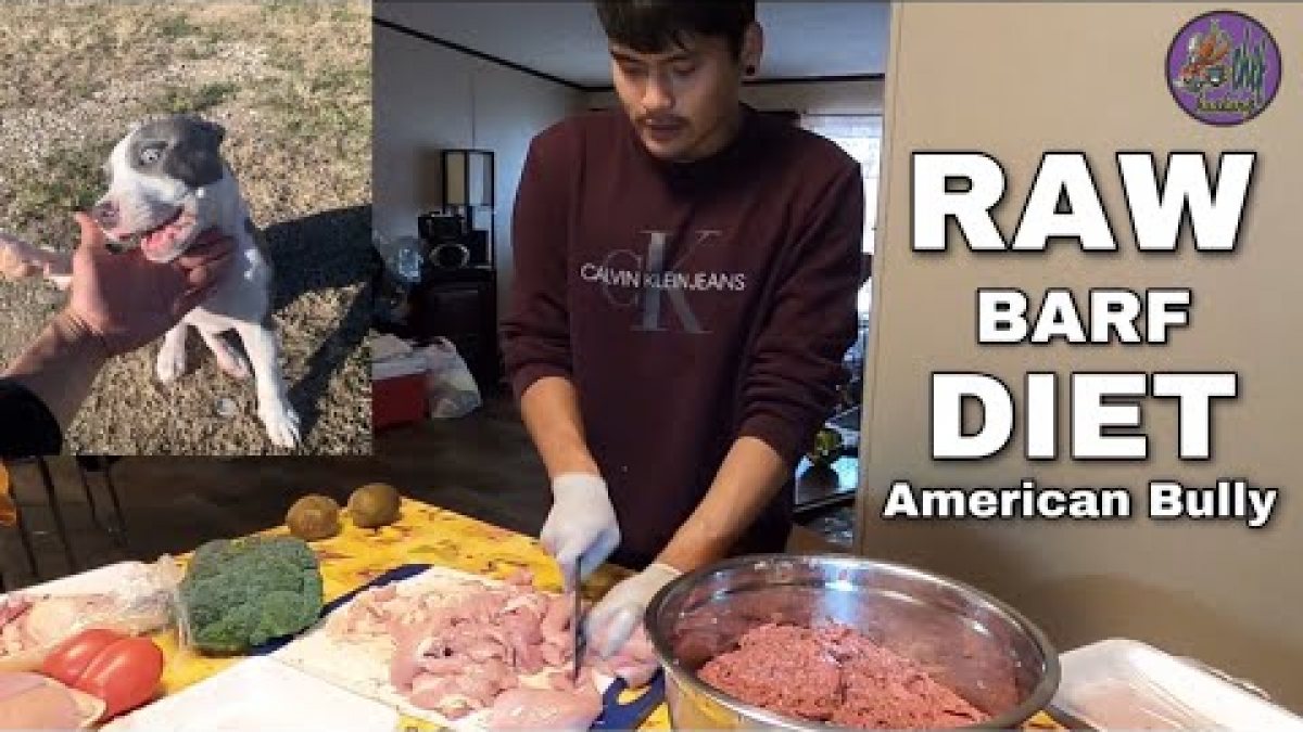 วิธีทำอาหาร BARF ให้น้องหมา