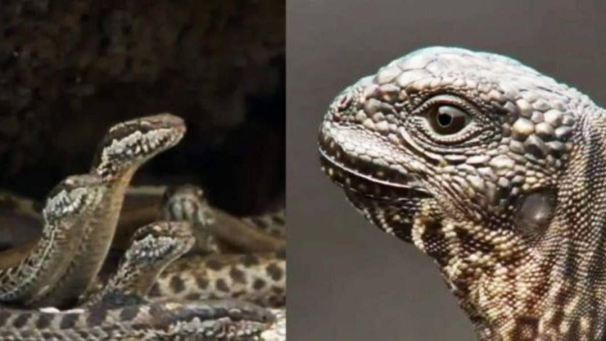 ดิ้นรนเอาชีวิตรอด กับโลกอันโหดร้าย ซีนสยองขวัญ ขนลุก ตื่นเต้น(สำหรับใคร ...