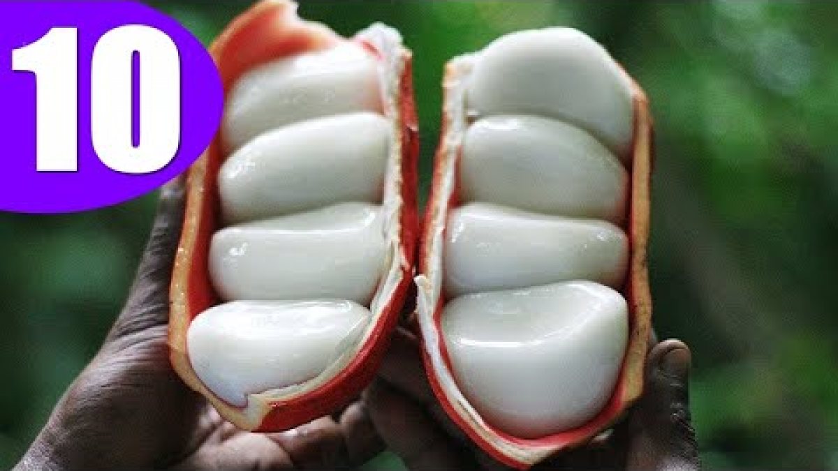 10 ถั่วที่แปลกประหลาด ที่สุดในโลก / 10 Most Unusual Nuts