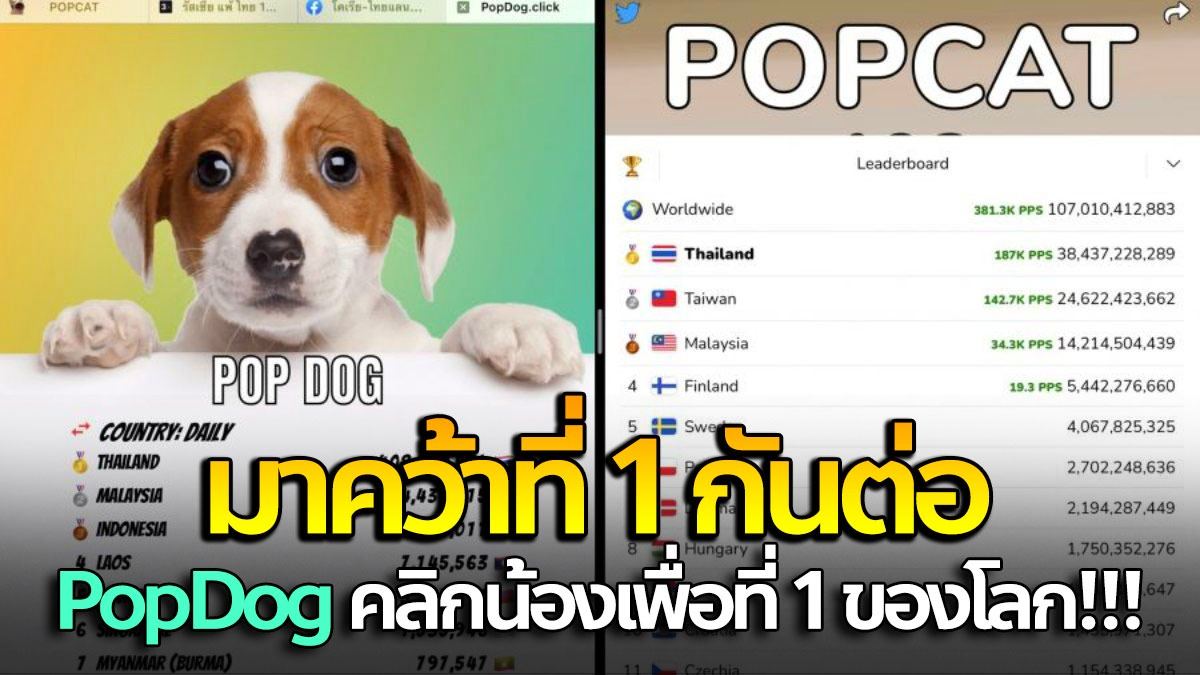 มาคว้าที่ 1 ของโลกกันต่อด้วย #PopDog คลิกน้องเพื่อที่ 1 ของโลก!!!