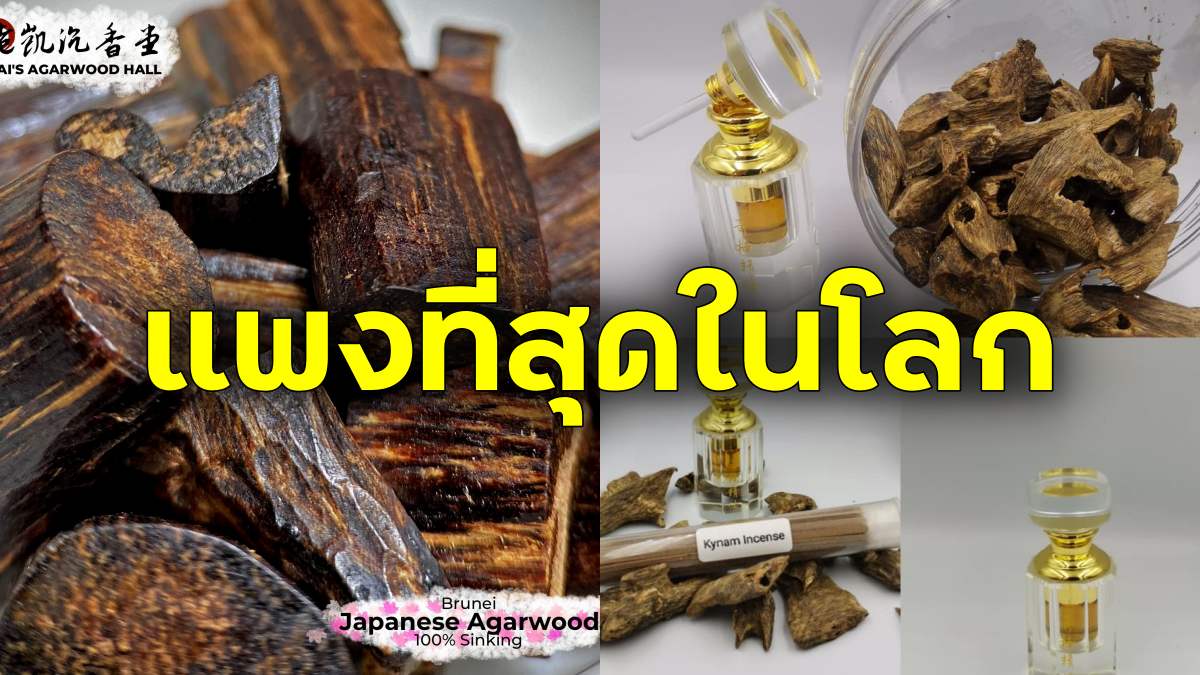 Kynam หรือ "kyara" ที่รู้จักกันในญี่ปุ่นเป็นไม้กฤษณา ไม้ที่มีราคาแพง ...