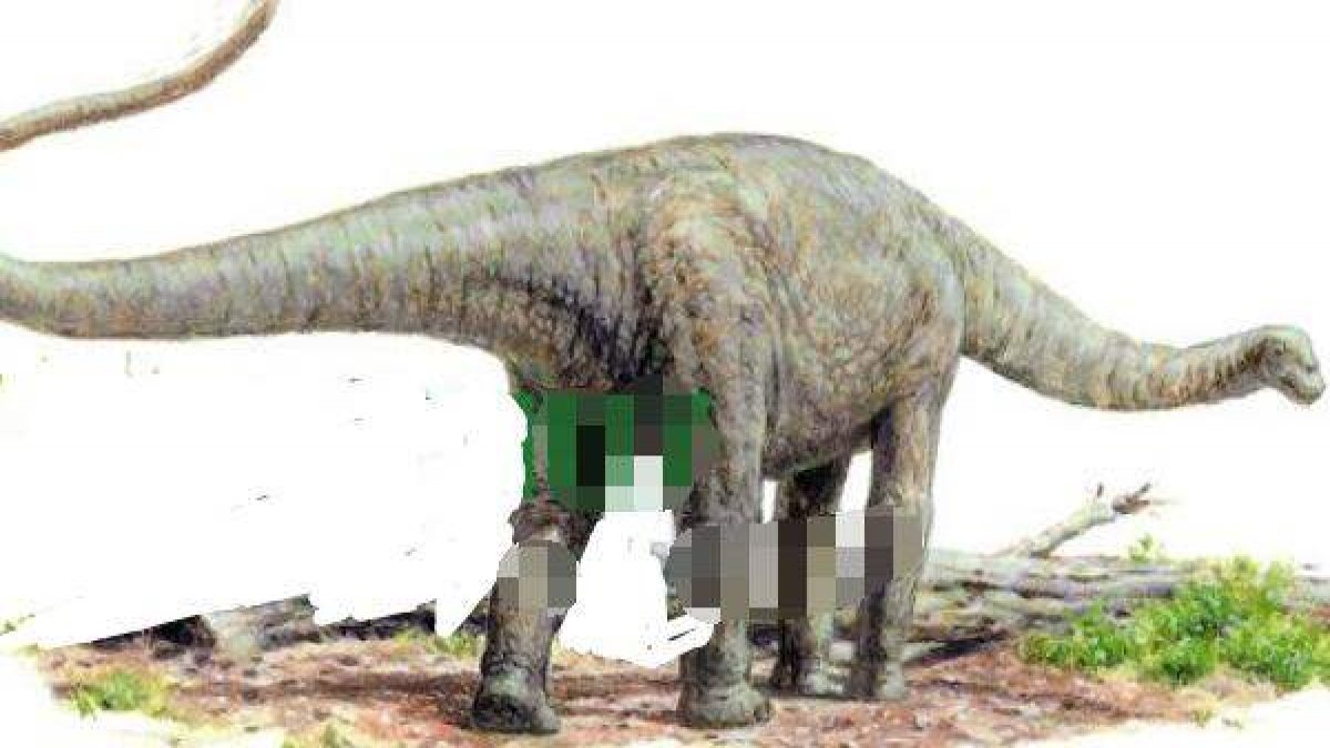 ไดโนเสาร์กินพืชเรียกว่า Austrosaurus：ไดโนเสาร์ของออสเตรเลีย