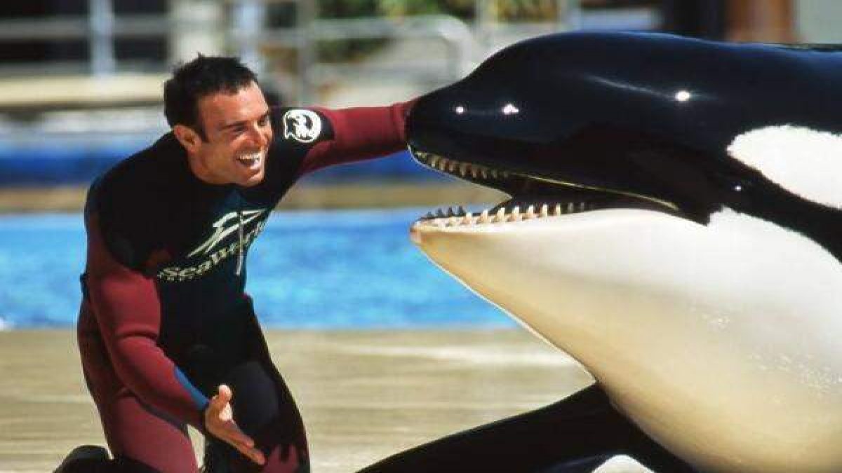 วาฬเพชฌฆาตสายพันธุ์ที่ใหญ่ที่สุดในโลก