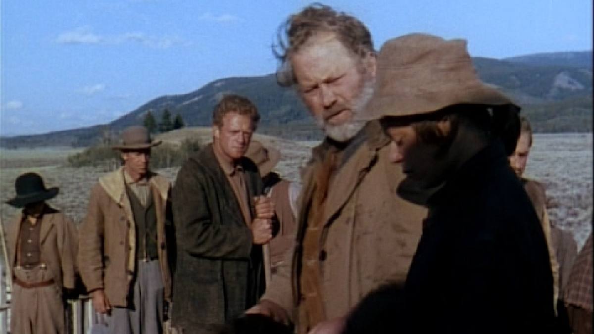 อีกไม่นาน Shane จะกลับมา!!!