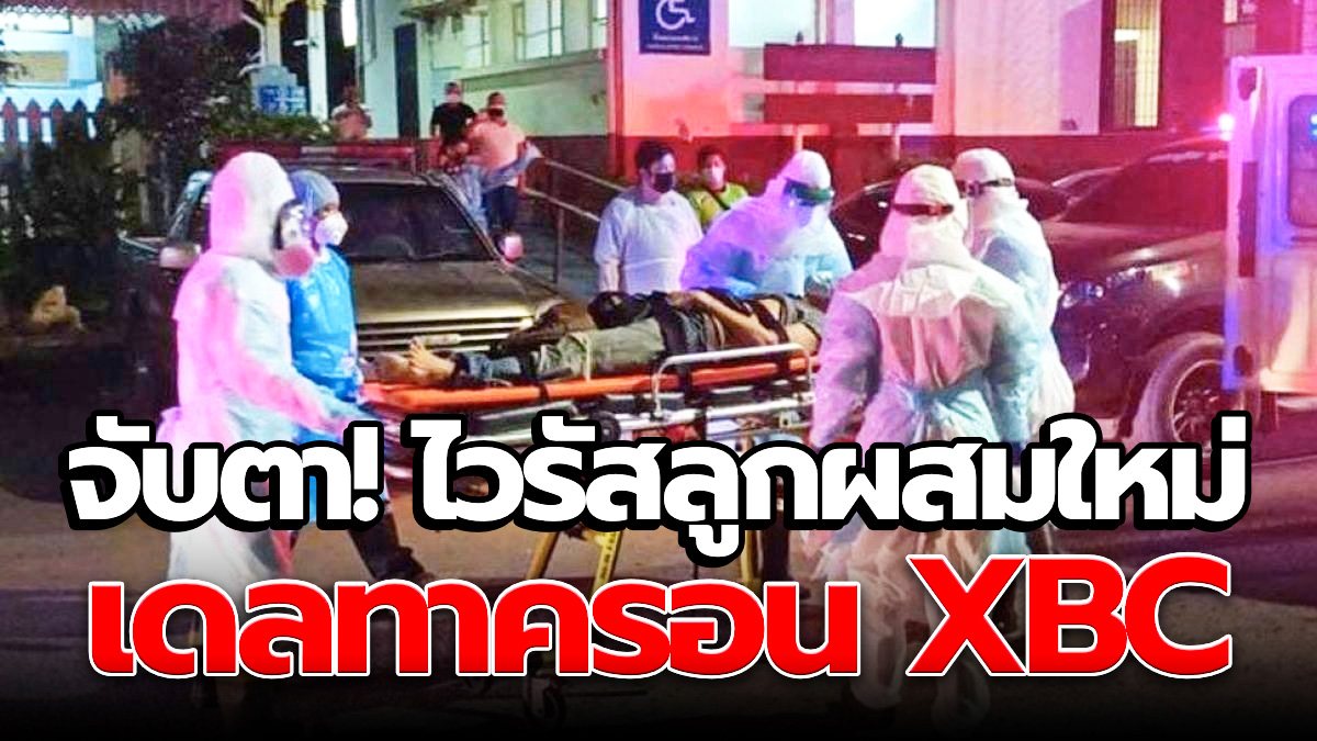 จับตา! ไวรัสลูกผสมใหม่ "เดลทาครอน XBC" คาดโจมตีแรงกว่าเดลตา แพร่เร็วเหมือนโอมิครอน