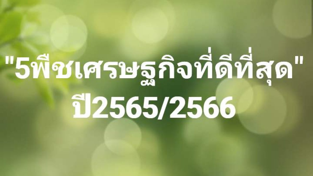 5พืชเศรษฐกิจที่ดีที่สุดปี2565/2566