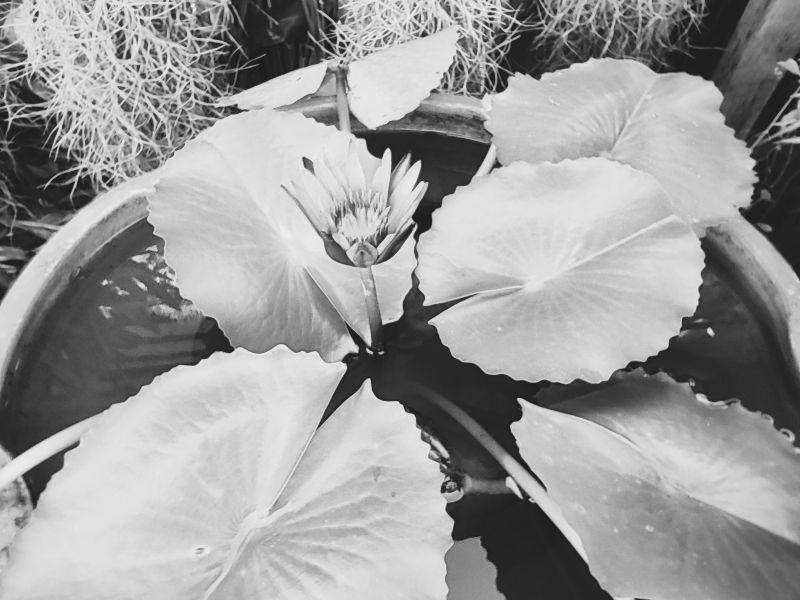 Dashboard - Social Network - Page.PostJung.com