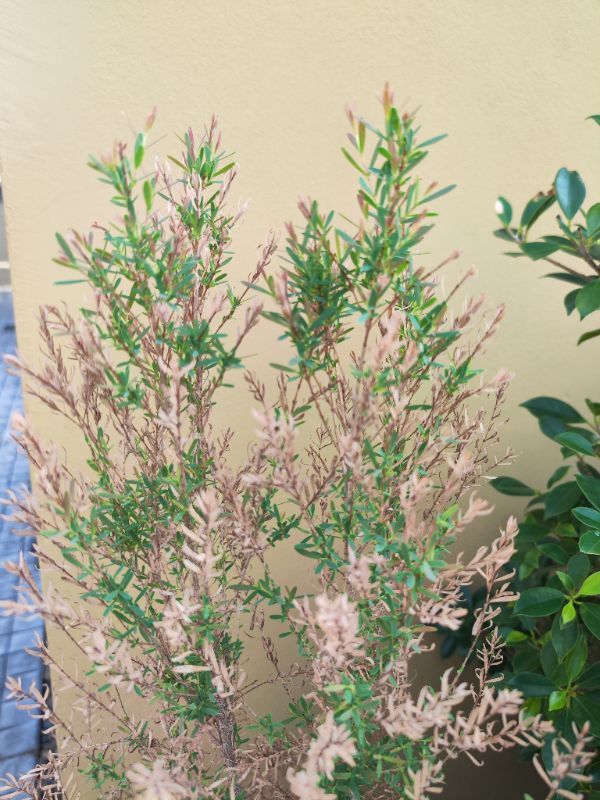 Page ของ Pimpila - Page.PostJung.com