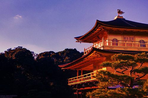 Beautiful Japan By Hermione