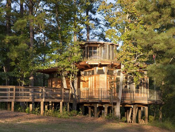 Timber Home Design – Lakefront Treehouse
