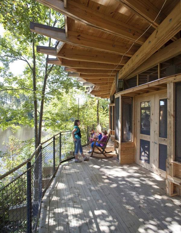 Timber Home Design – Lakefront Treehouse