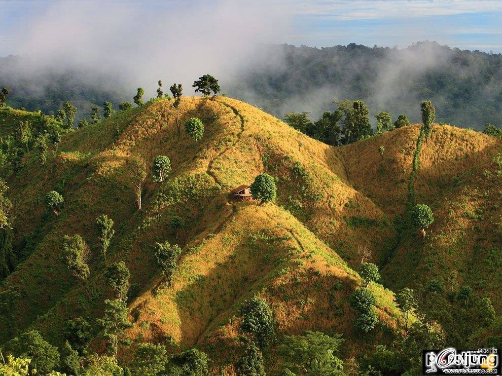 30 NATIONAL GEOGRAPHIC NATURE VIEW PHOTO