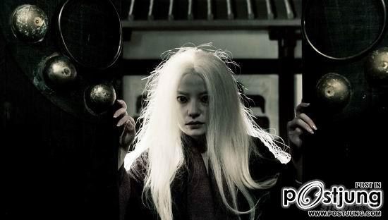 画皮 / Painted Skin / Hua Pi