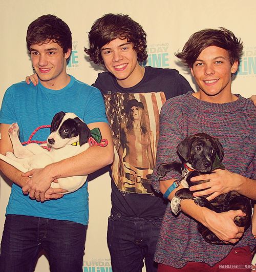 คนรัก one direction 2