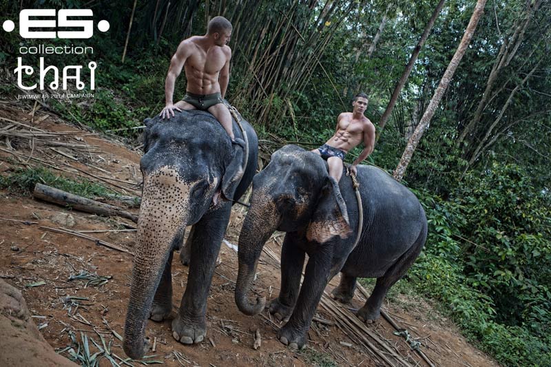 ES Collection 2014 "THAI" Set 1