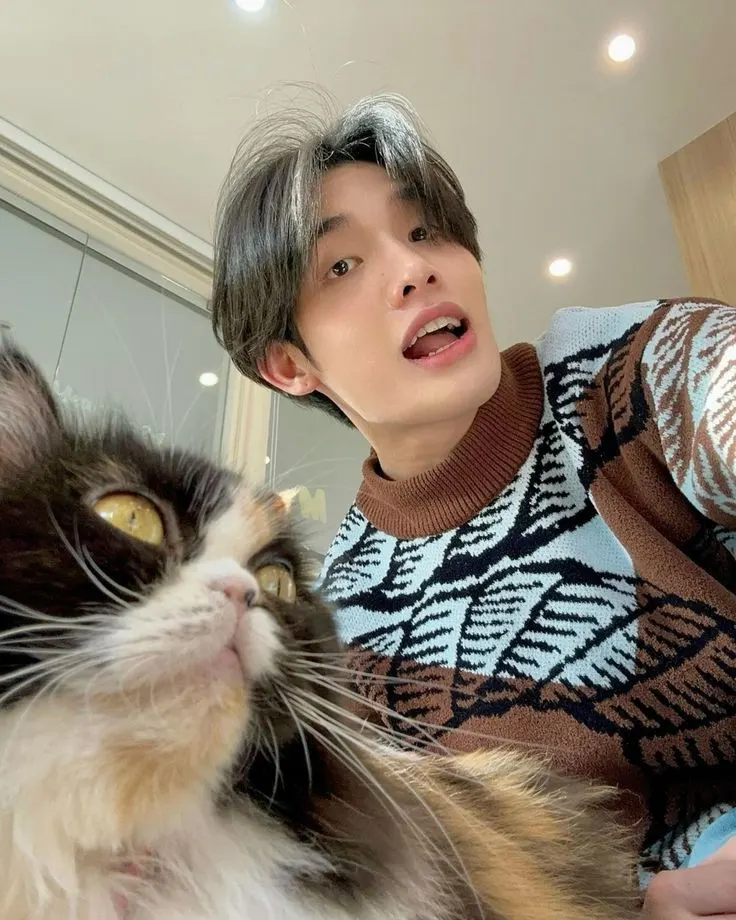 Bus & Dice - Quiz.Postjung.com