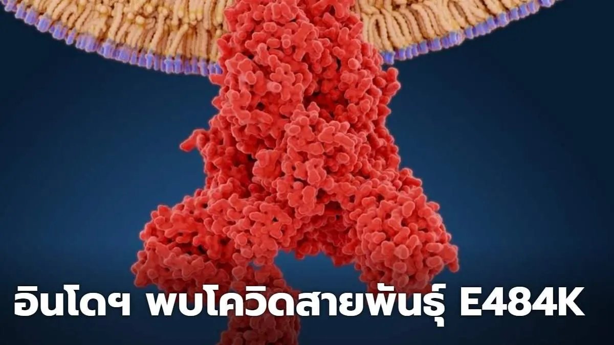 พบโควิดสายพันธุ์ E484K ในอินโดนีเซีย