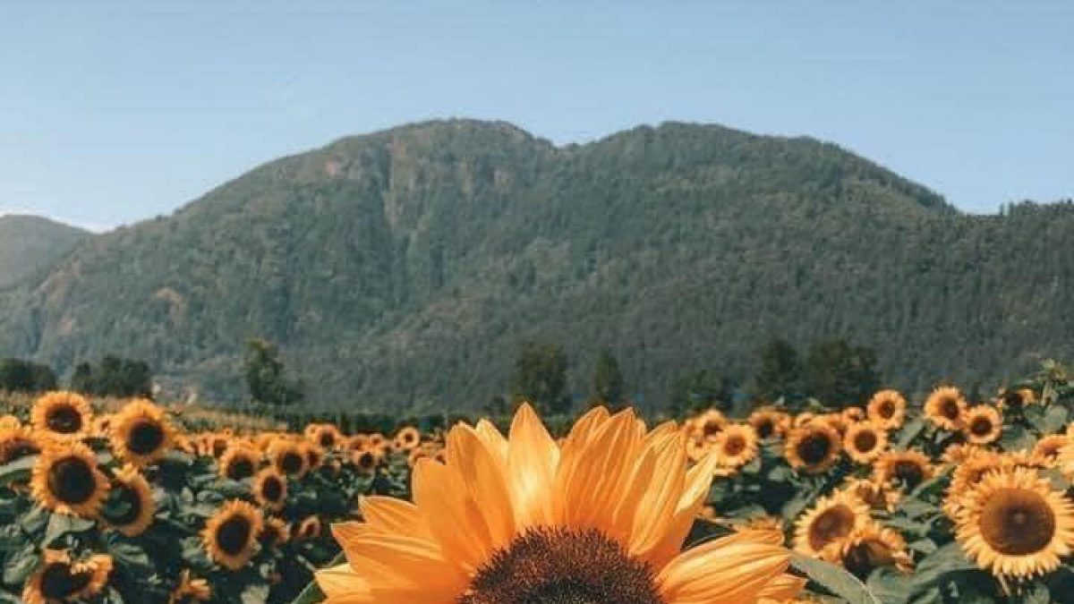 ถ้าคนที่เราคบอยู่..ไม่เหมือนวันแรกๆ จะทำยังไงกัน?