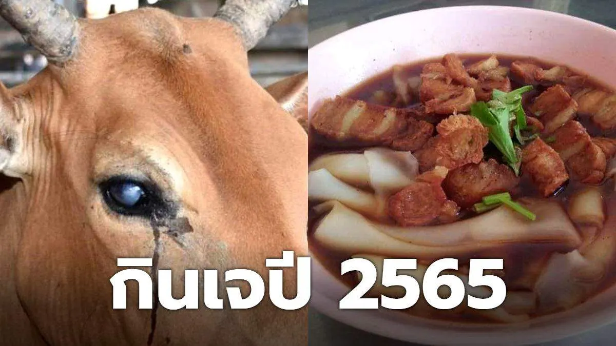 กินเจปี2565(ฉบับส่วนตัว30ปี)